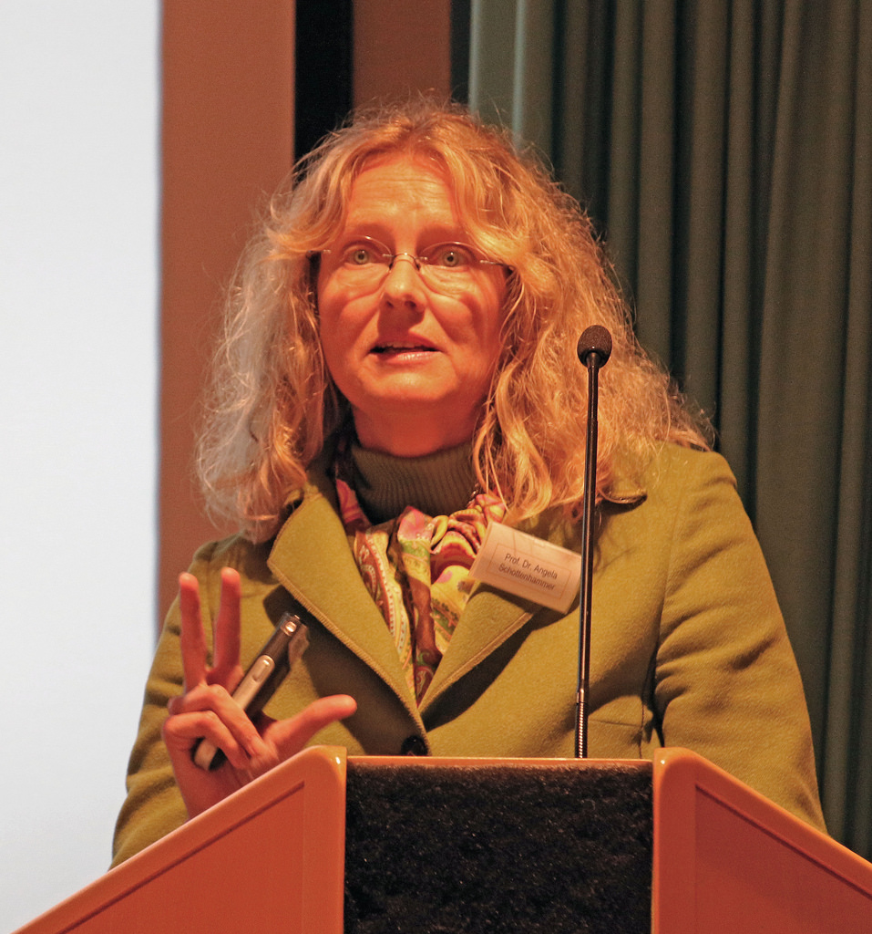 ERC Advanced Grant for Prof. Angela Schottenhamer - Universität Salzburg