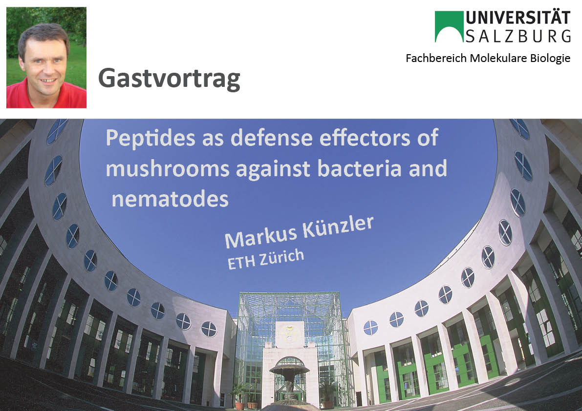 5 October: Guest Lecture – Peptides as Defense Effectors of Mushrooms ...