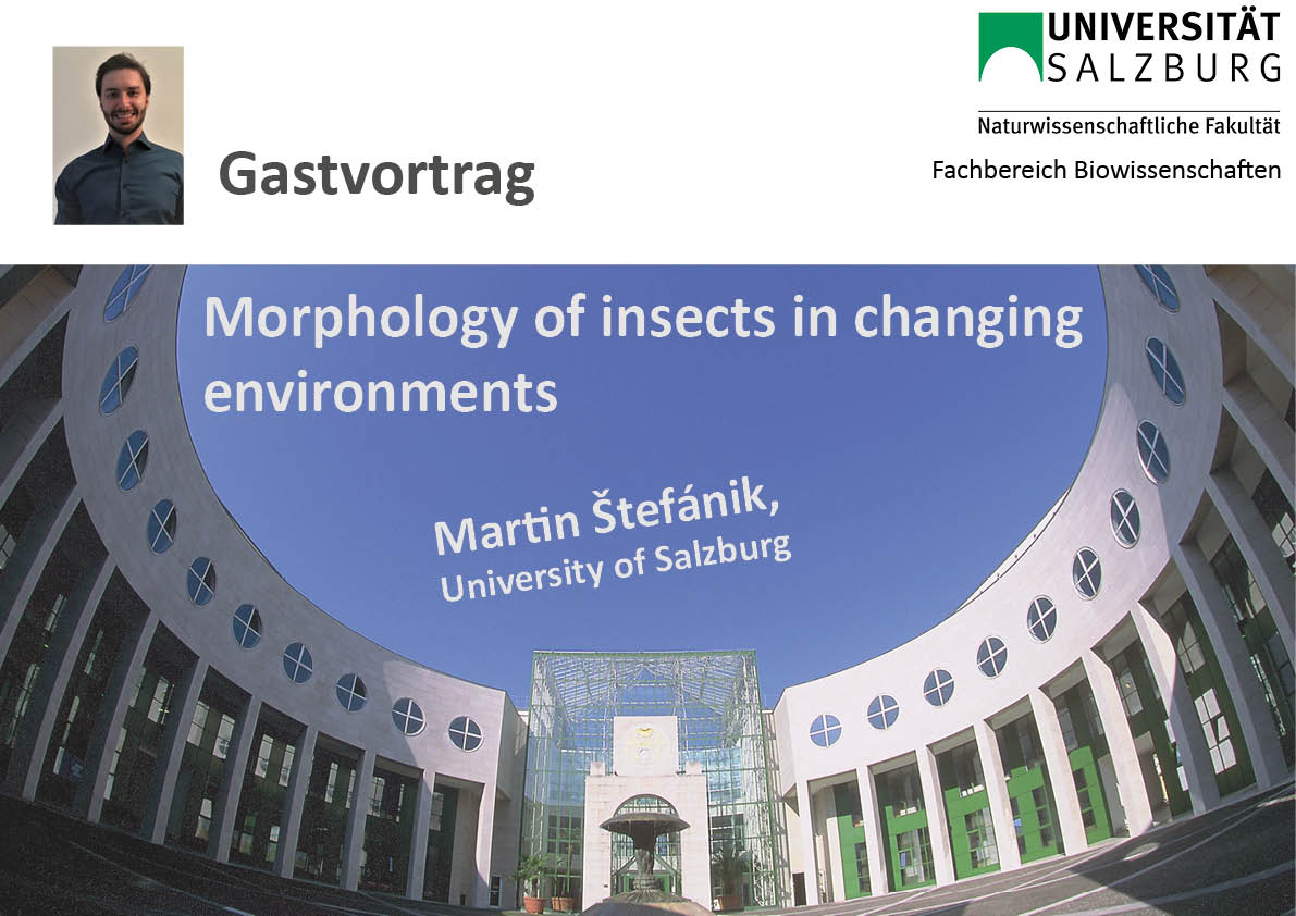 FR 20.3.: Gastvortrag: Morphology of insects in changing environments - Universität Salzburg