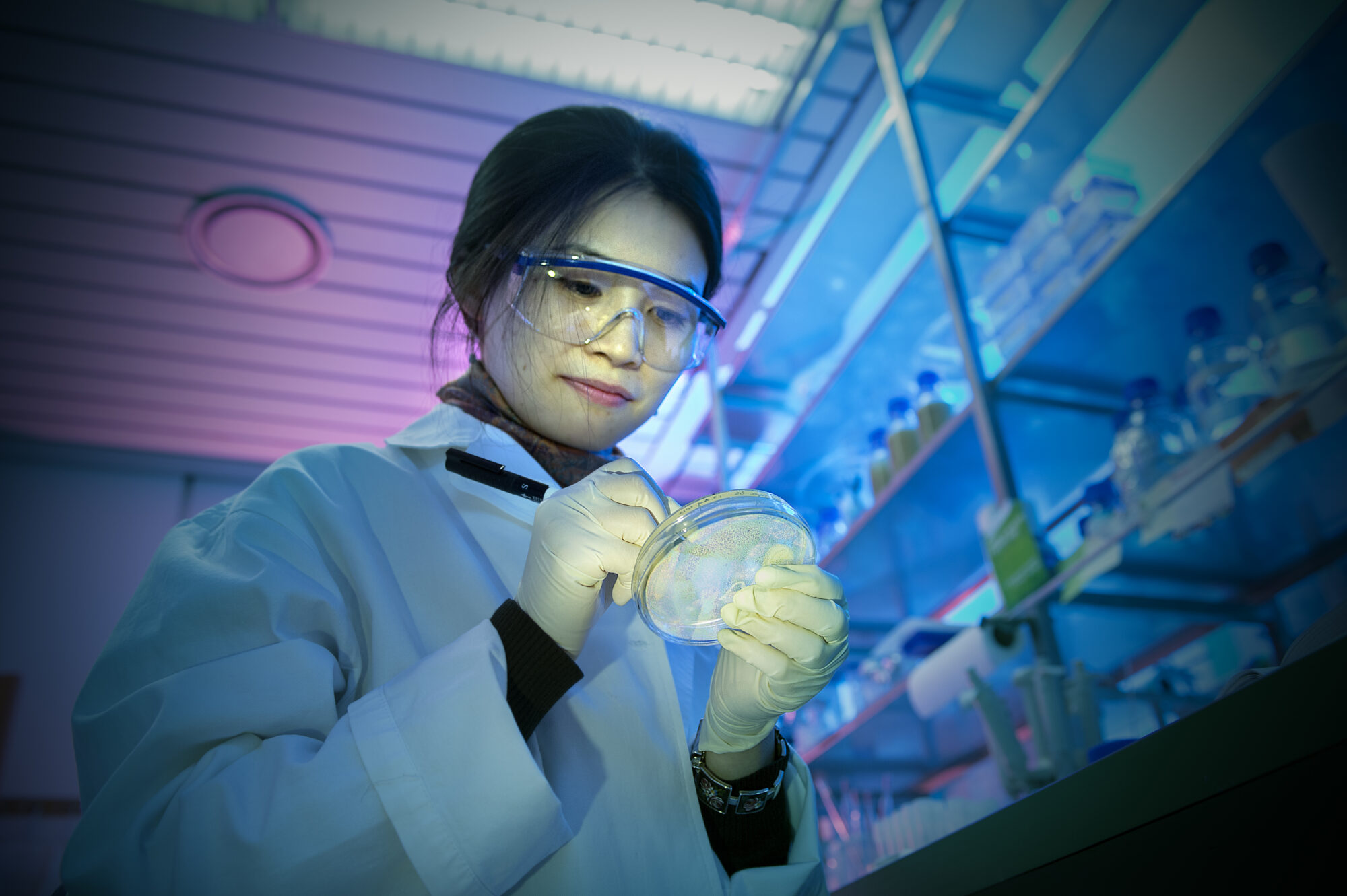 Unsere Forscher*innen - Universität Salzburg