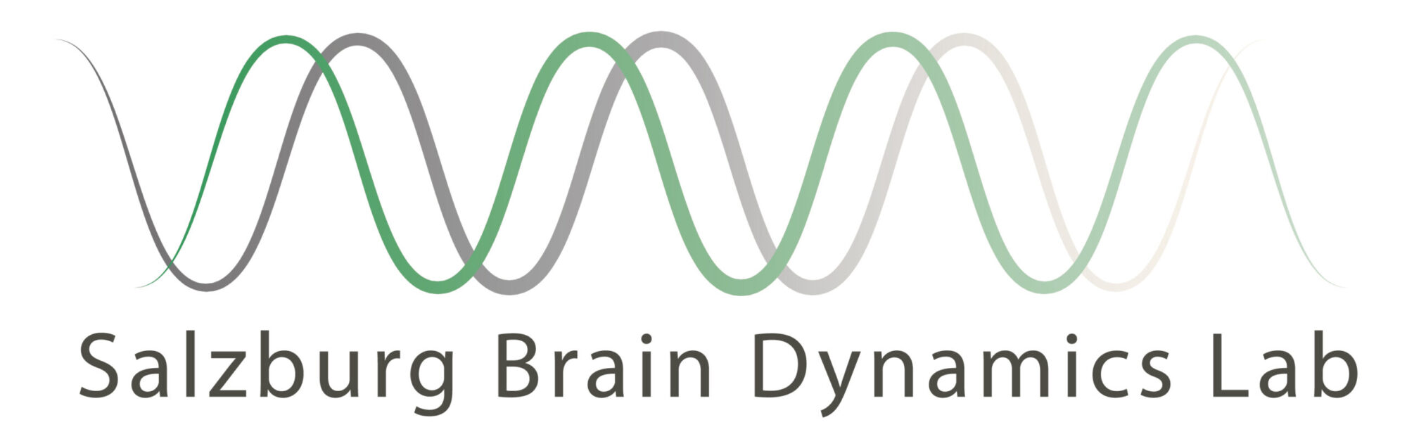 Salzburg Brain Dynamics Lab - Universität Salzburg