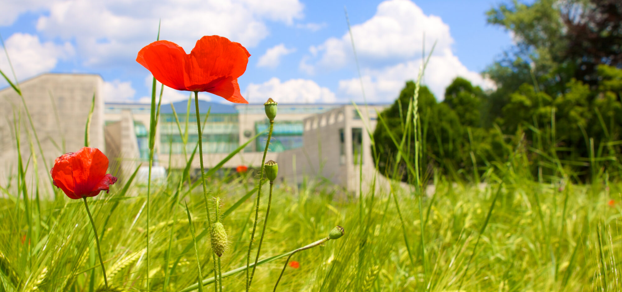 Things to know about the Faculty of Natural and Life Sciences - Paris ...